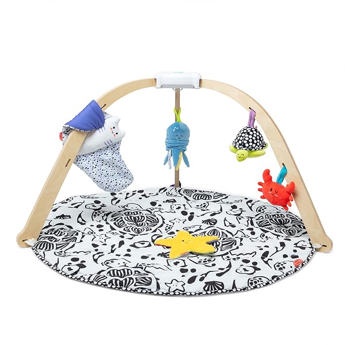 Melissa & Doug Ocean Wooden Baby Play Gym – Kidsy